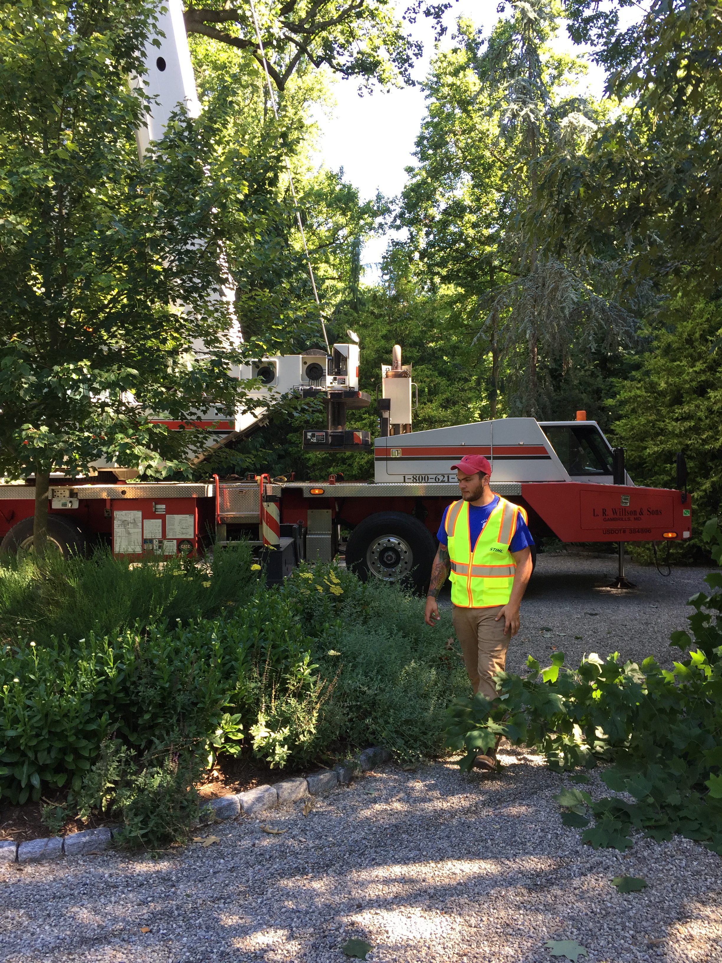 About Us - Tall Tree Service