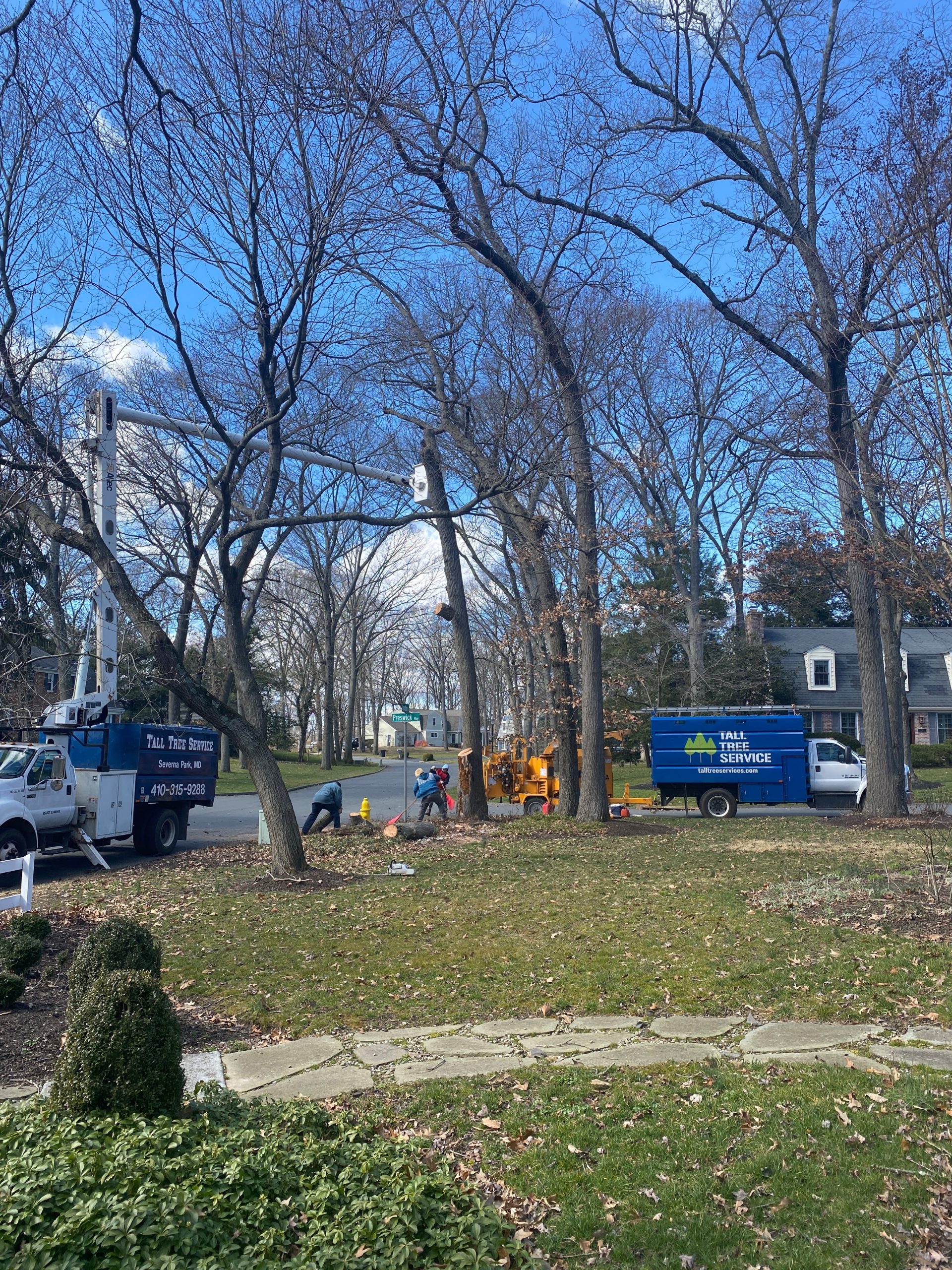 About Us - Tall Tree Service