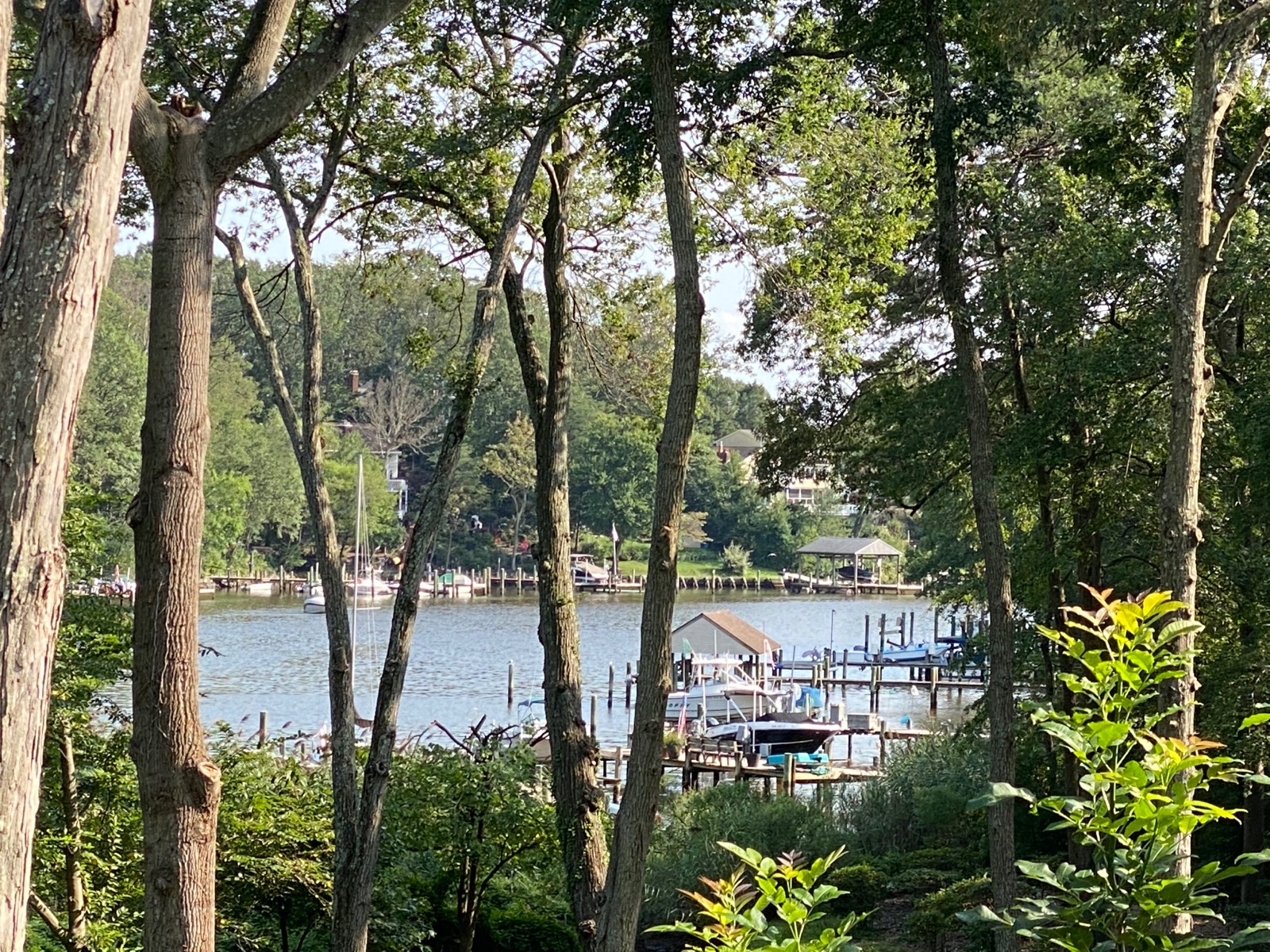 About Us - Tall Tree Service